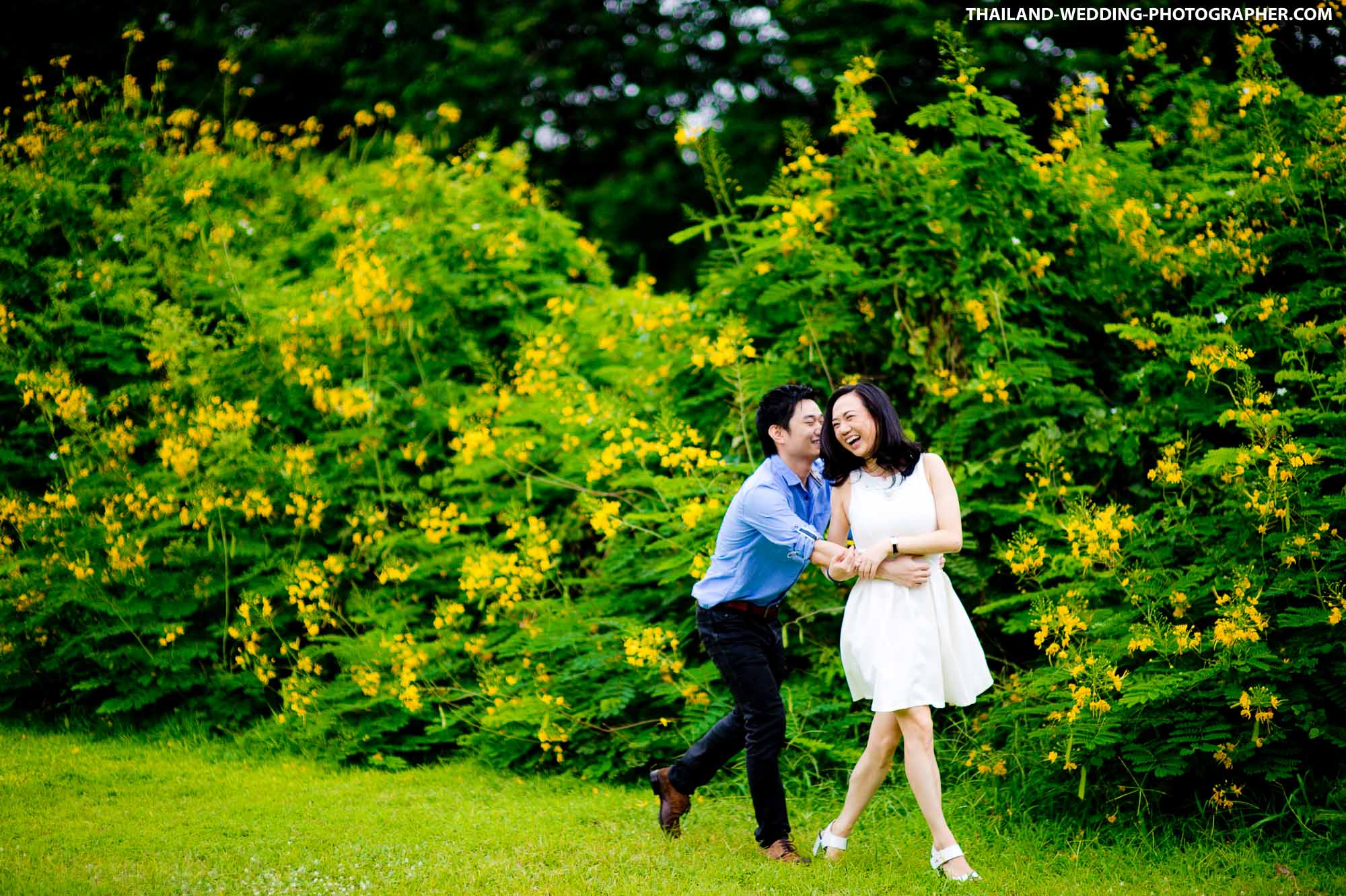 Rod Fai Park (San Rot Fai Park / The Railway Park / Wachirabenchatat ...