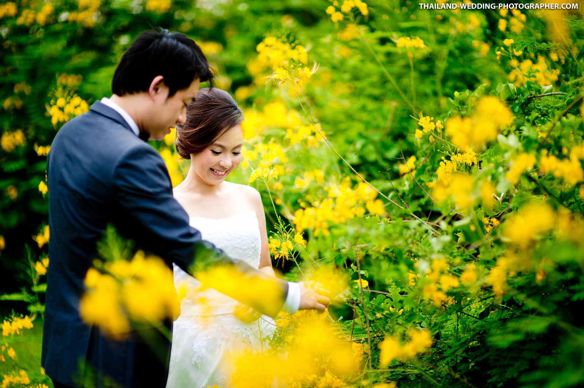 Rod Fai Park (San Rot Fai Park / The Railway Park / Wachirabenchatat ...